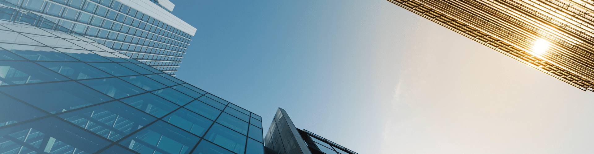 Découvrez l'histoire de TILT-IMPORT